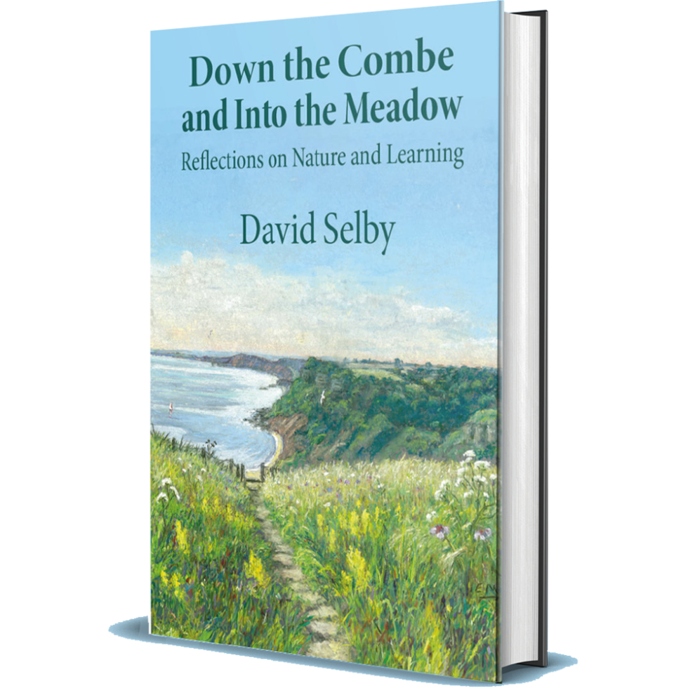 High Praise for Down the Combe! | Sustainability Frontiers High Praise for Down the Combe! | Sustainability Frontiers